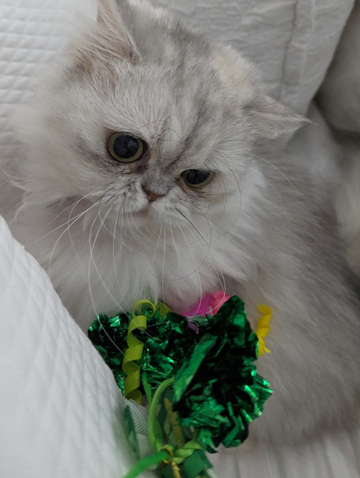 insert (@insert@ap.insertapp.net) - Insert Fedi